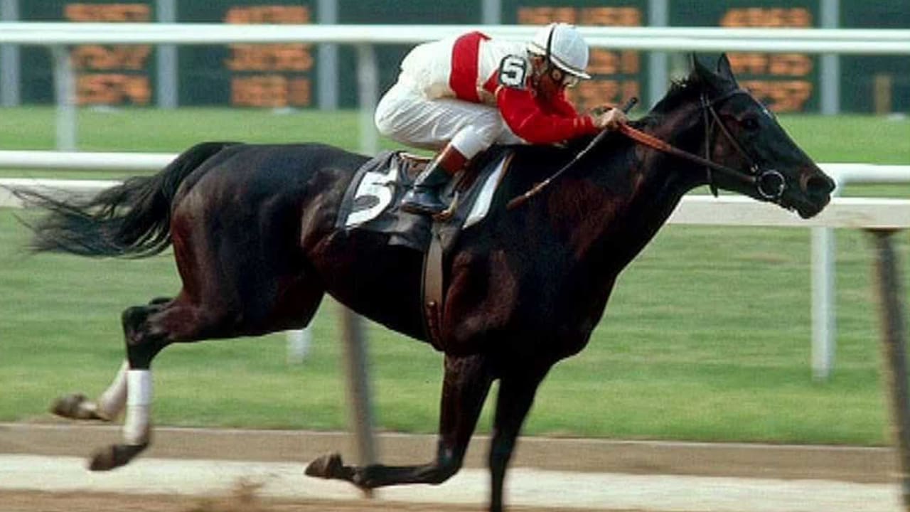 Ruffian godziny emisji w telewizji, obsada, kiedy leci i gdzie obejrzeć ...